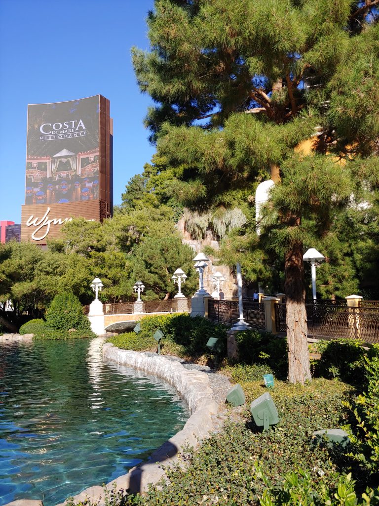 Wynn Resort and Casino Games | Vegas Advantage
